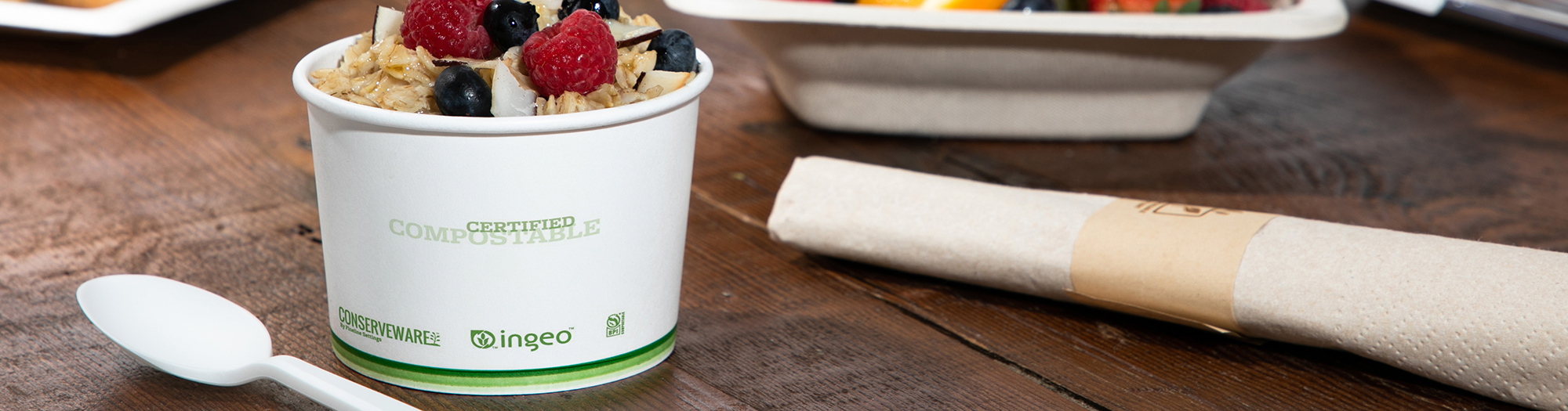 Premium Plastic Tableware for catering and food service industries